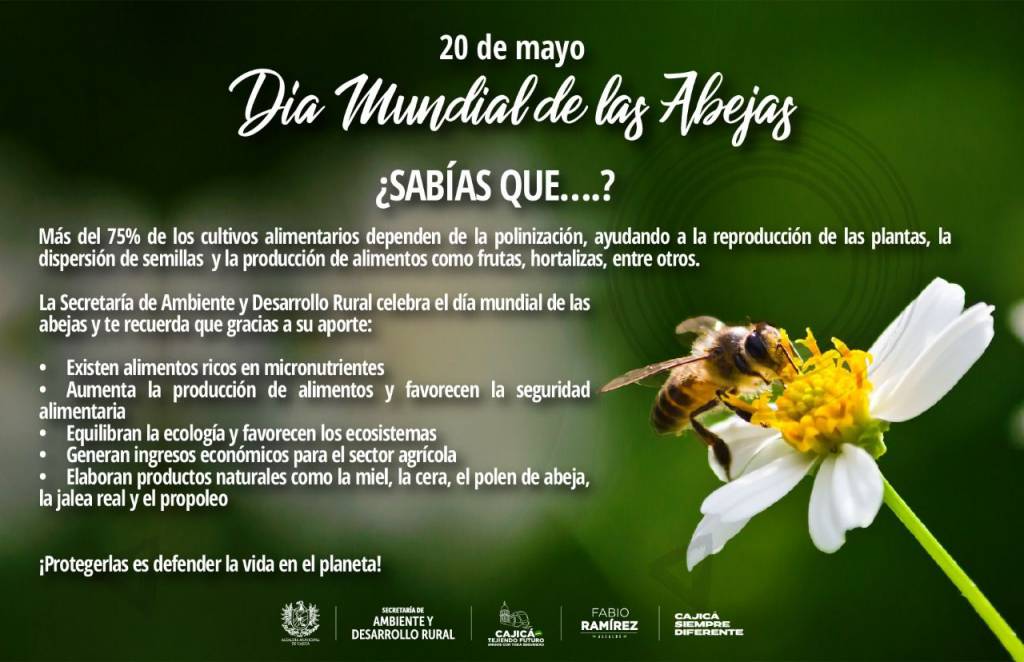 Día Mundial de las Abejas – Cajicá Alcaldía Municipal